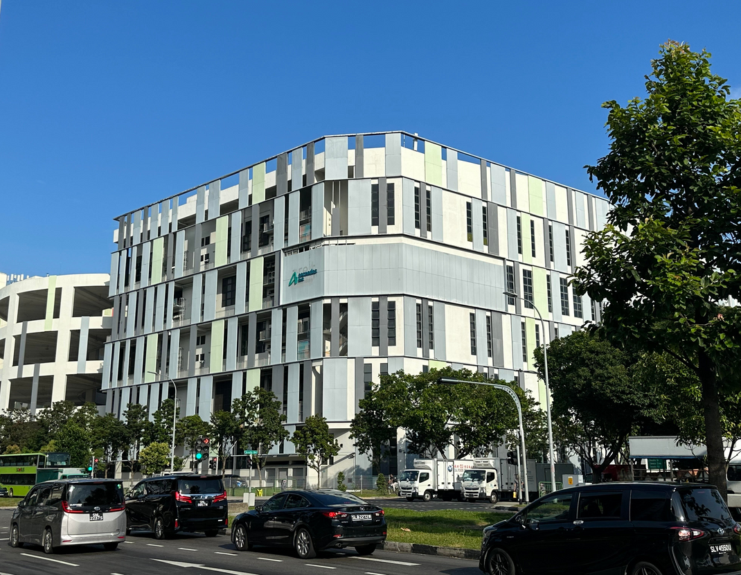 About Us – Kingmao